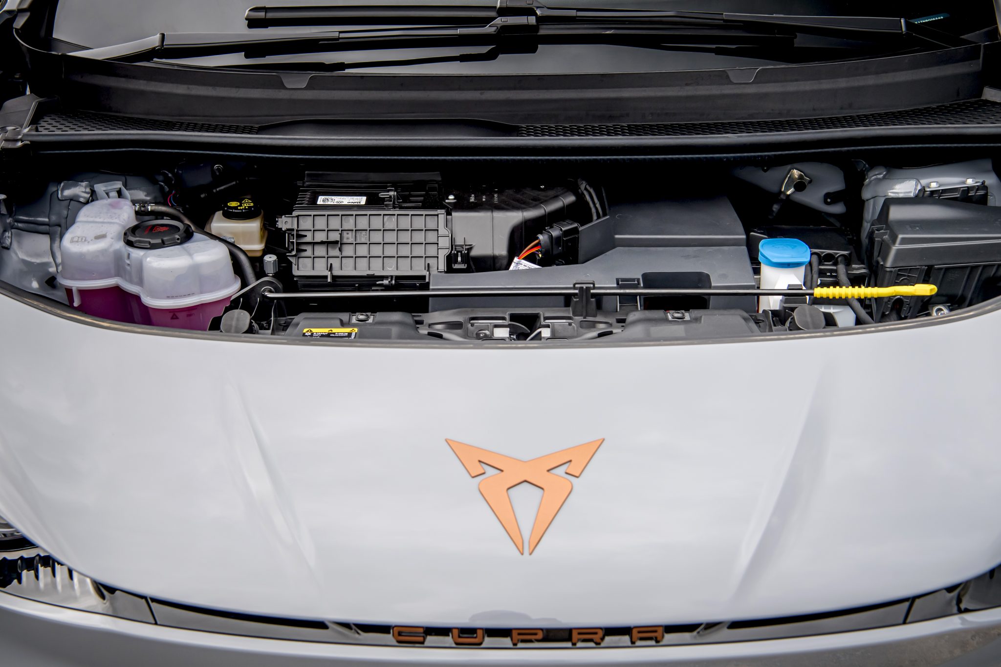 Could the Cupra Born be your next salary sacrifice EV? — Tusker